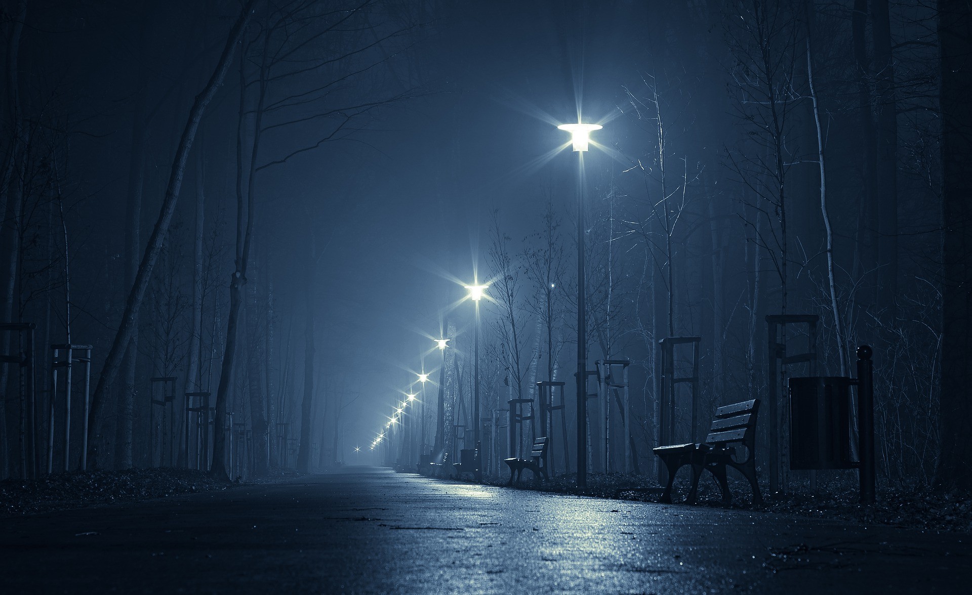 What If All The Humans Vanish From The Earth? - PTE EHÖK